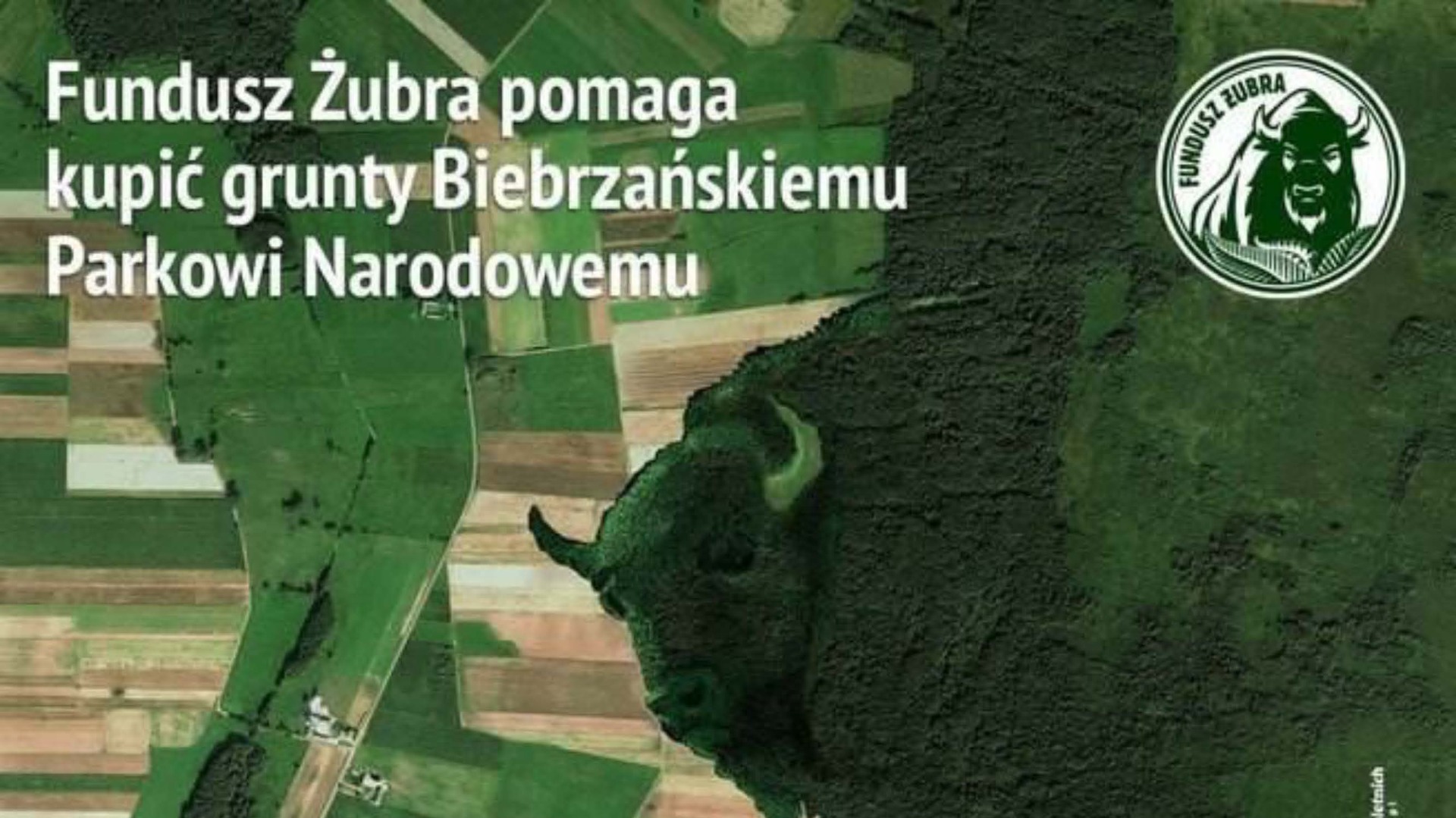 PRE-ACTIVITIES :: PIMPRO